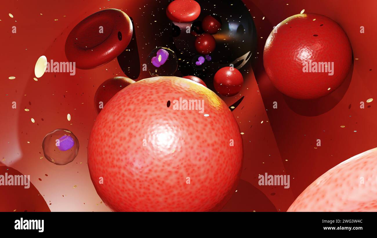 Normal anemia red blood cell hi-res stock photography and images - Alamy