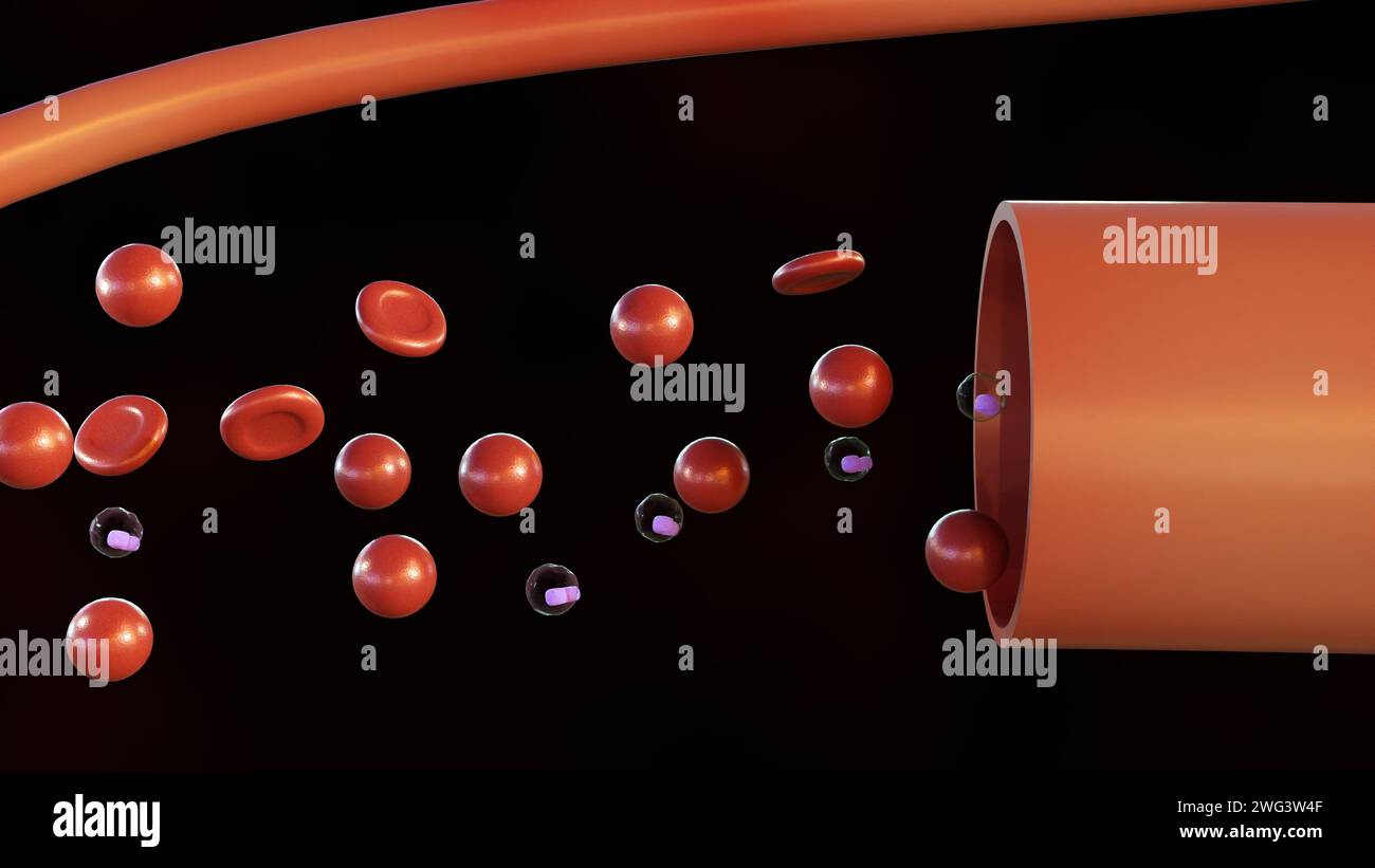 3d rendering of spherocyte, it is a red blood cell (RBC) that is ...
