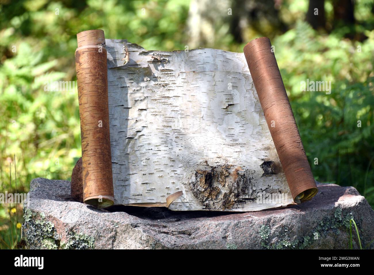 Parchment bark hi-res stock photography and images - Alamy
