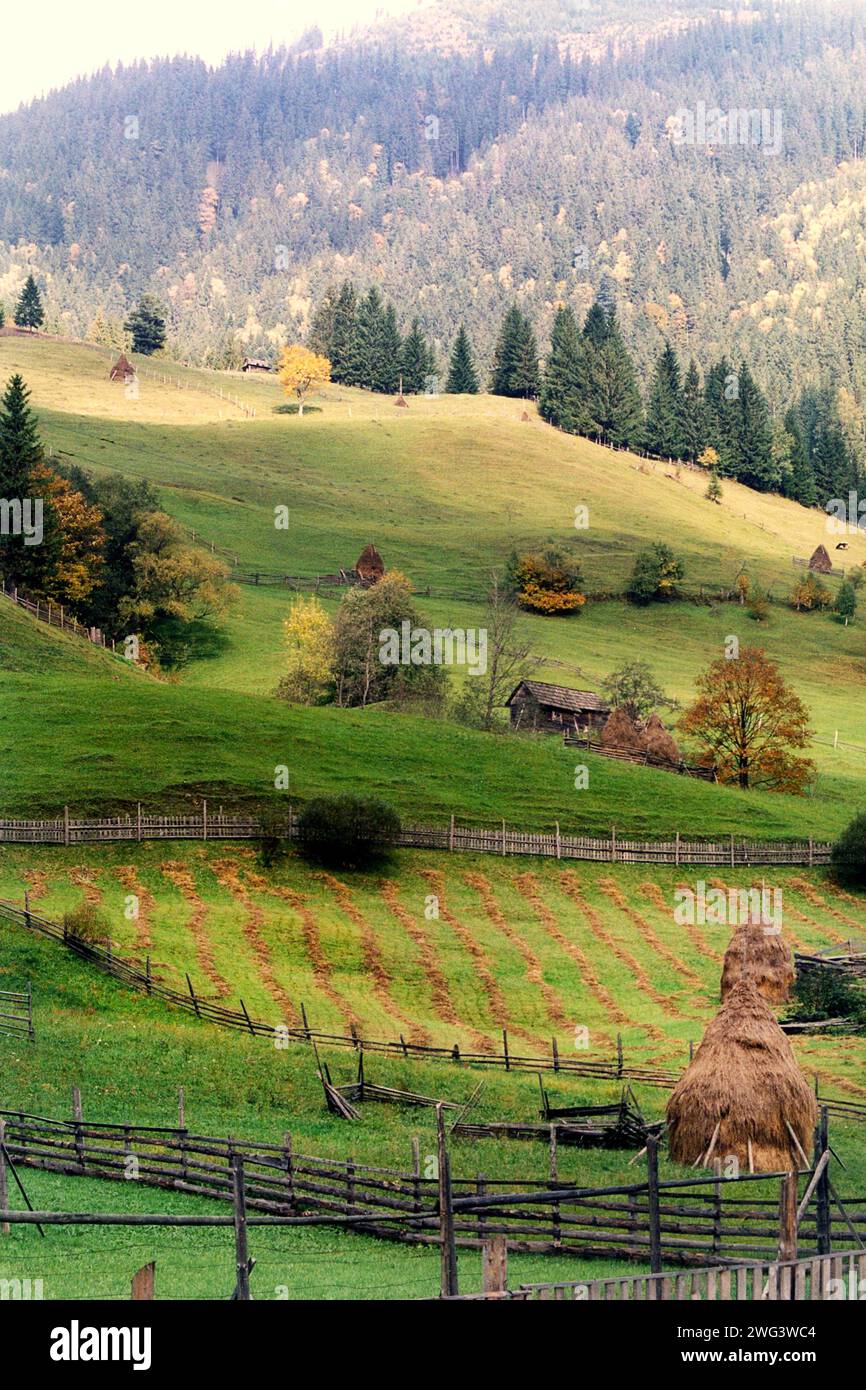 Landscape in Mures County, Romania, approx. 1999 Stock Photo - Alamy