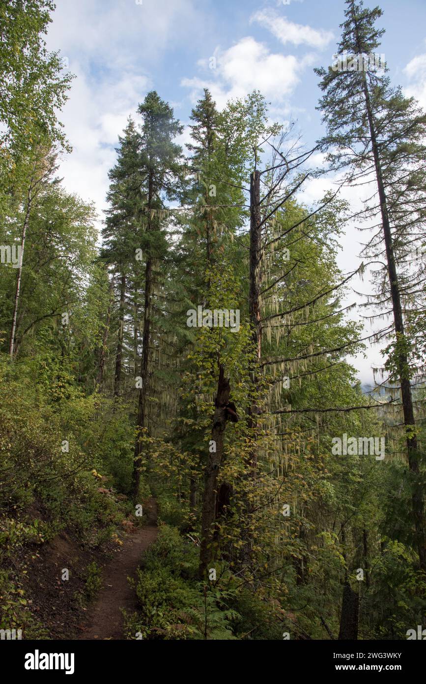 Wells Gray Provincial Park is a large wilderness park in the east of ...