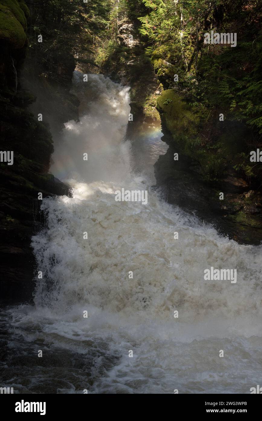 Wells Gray Provincial Park is a large wilderness park in the east of ...