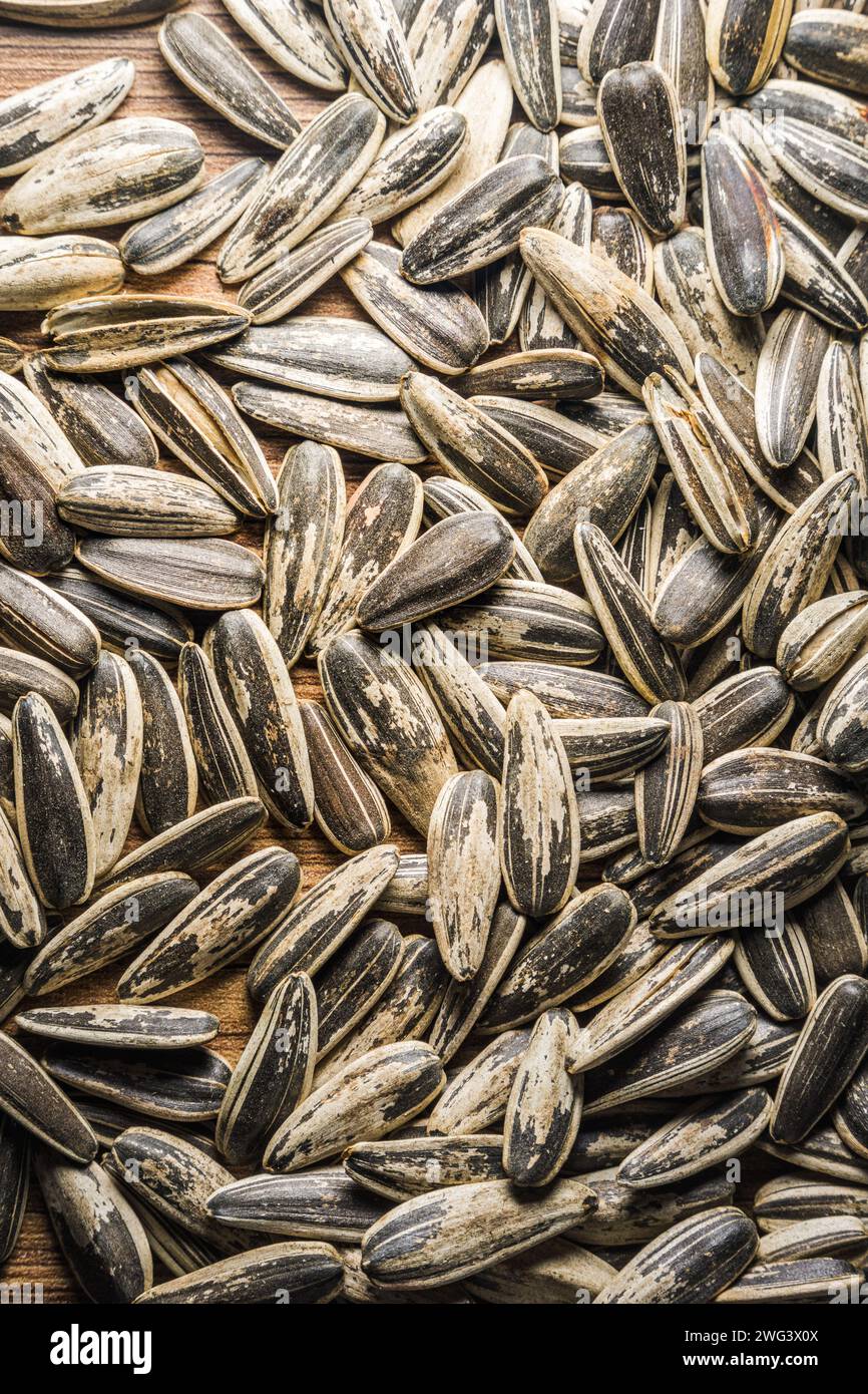 Macro close-up on heap of sunflower seeds detail background texture ...