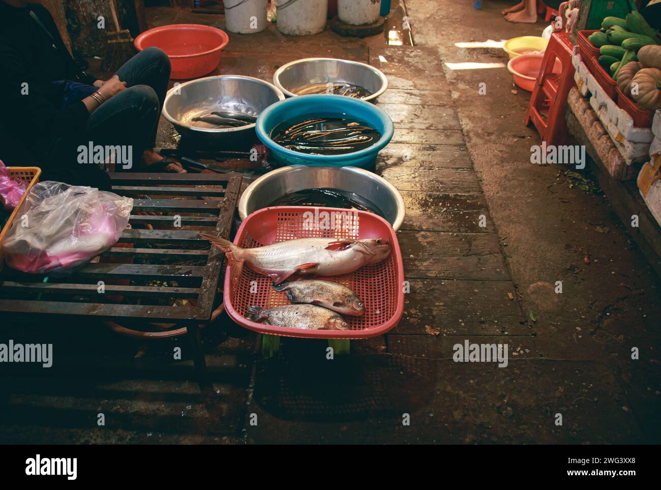 A fishmonger selling and waiting for costumers at the local Samaki ...