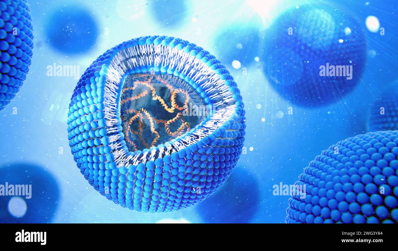 Conceptual Illustration Of Liposomes Containing Dna Deoxyribonucleic