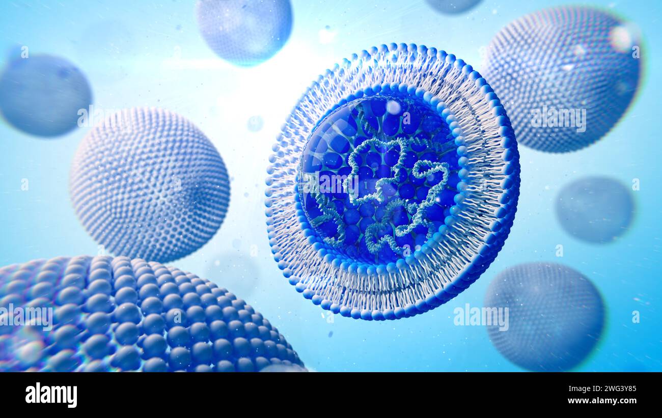 Liposome containing DNA, illustration Stock Photo - Alamy