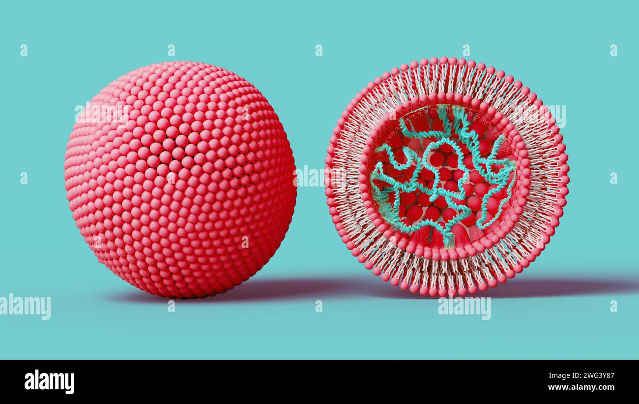 Liposome containing DNA, illustration Stock Photo - Alamy