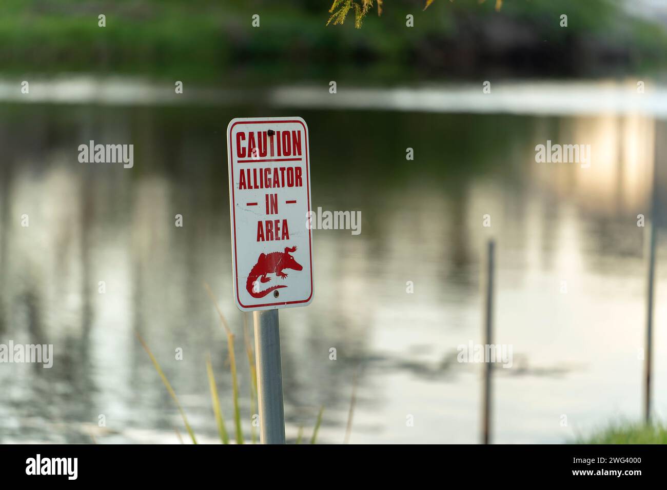 Alligator warning sign in Florida park about caution and safety during ...
