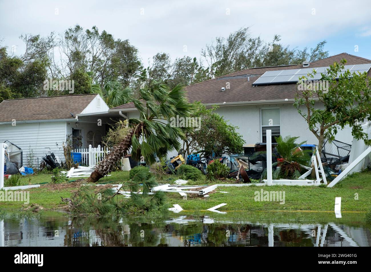 Hurricane damage to palm tree on Florida house backyard. Fallen down ...