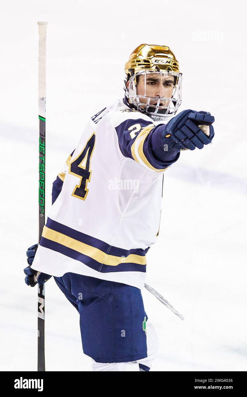 Compton family ice arena hi-res stock photography and images - Alamy