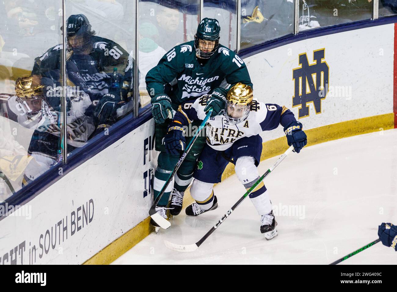 February 02, 2024: Notre Dame defenseman Jake Boltmann (6) checks ...