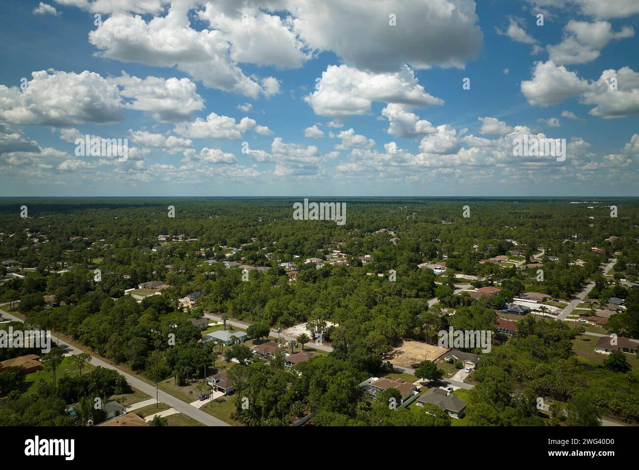 Aerial landscape view of suburban private houses between green palm ...