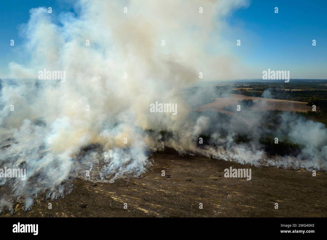 Aerial view of white smoke from forest fire rising up polluting ...
