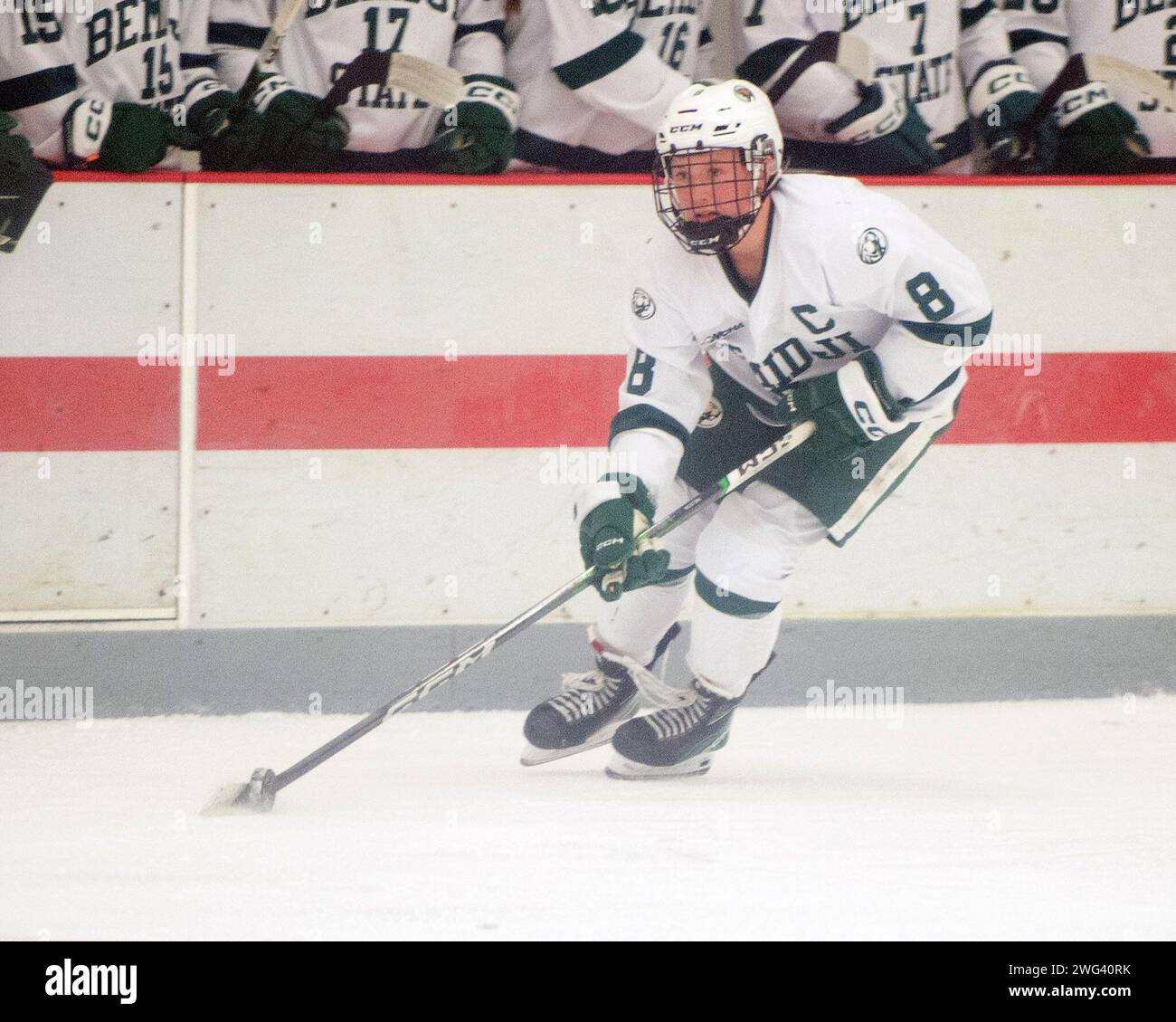 February 2, 2024: Bemidji State Beavers forward Taylor Nelson (8 ...