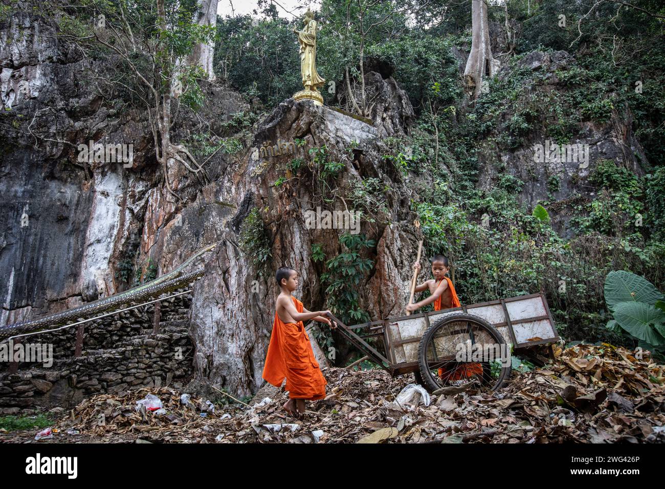 Mae Sai, Thailand. 17th Jan, 2024. Young monks pick up leaves at the ...
