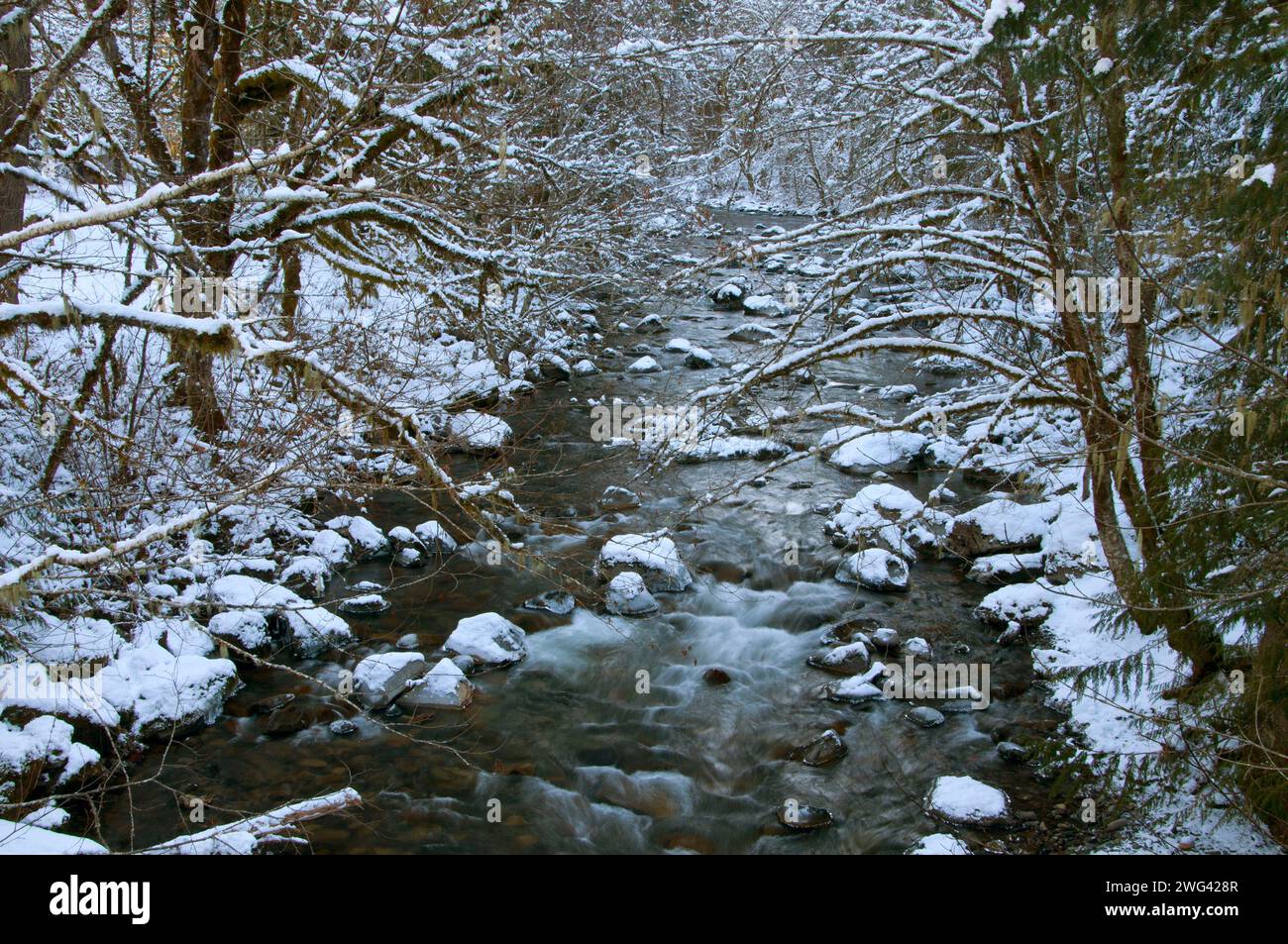 Oak Fork Clackamas River in winter, West Cascades Scenic Byway, Mt Hood ...