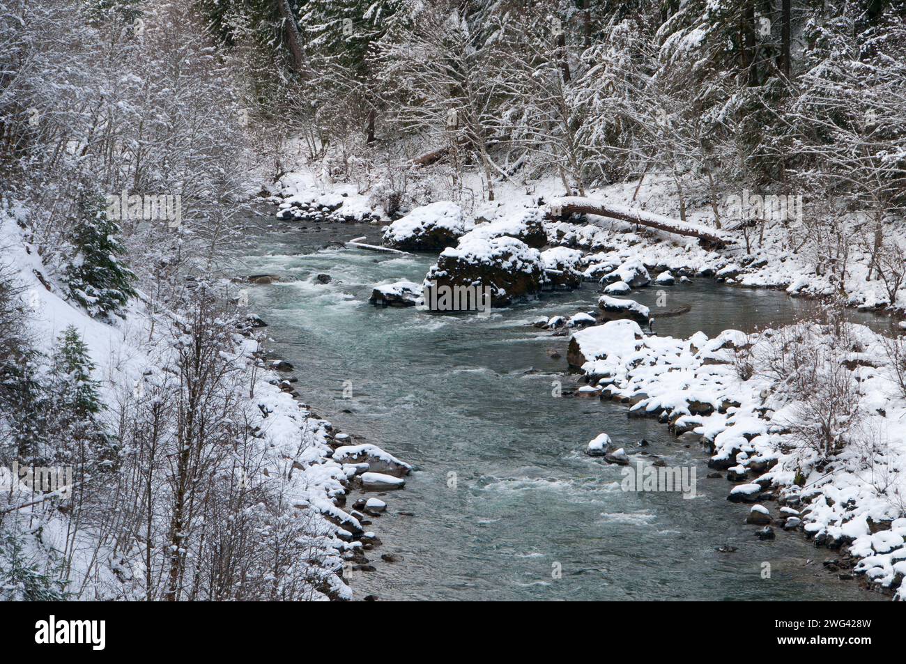 Clackamas Wild and Scenic River from Riverside National Recreation ...