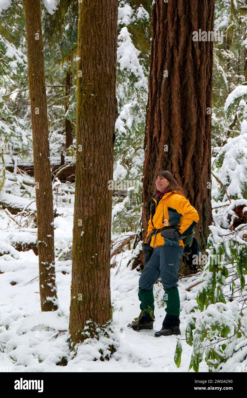 Riverside National Recreation Trail in winter, Clackamas Wild and ...