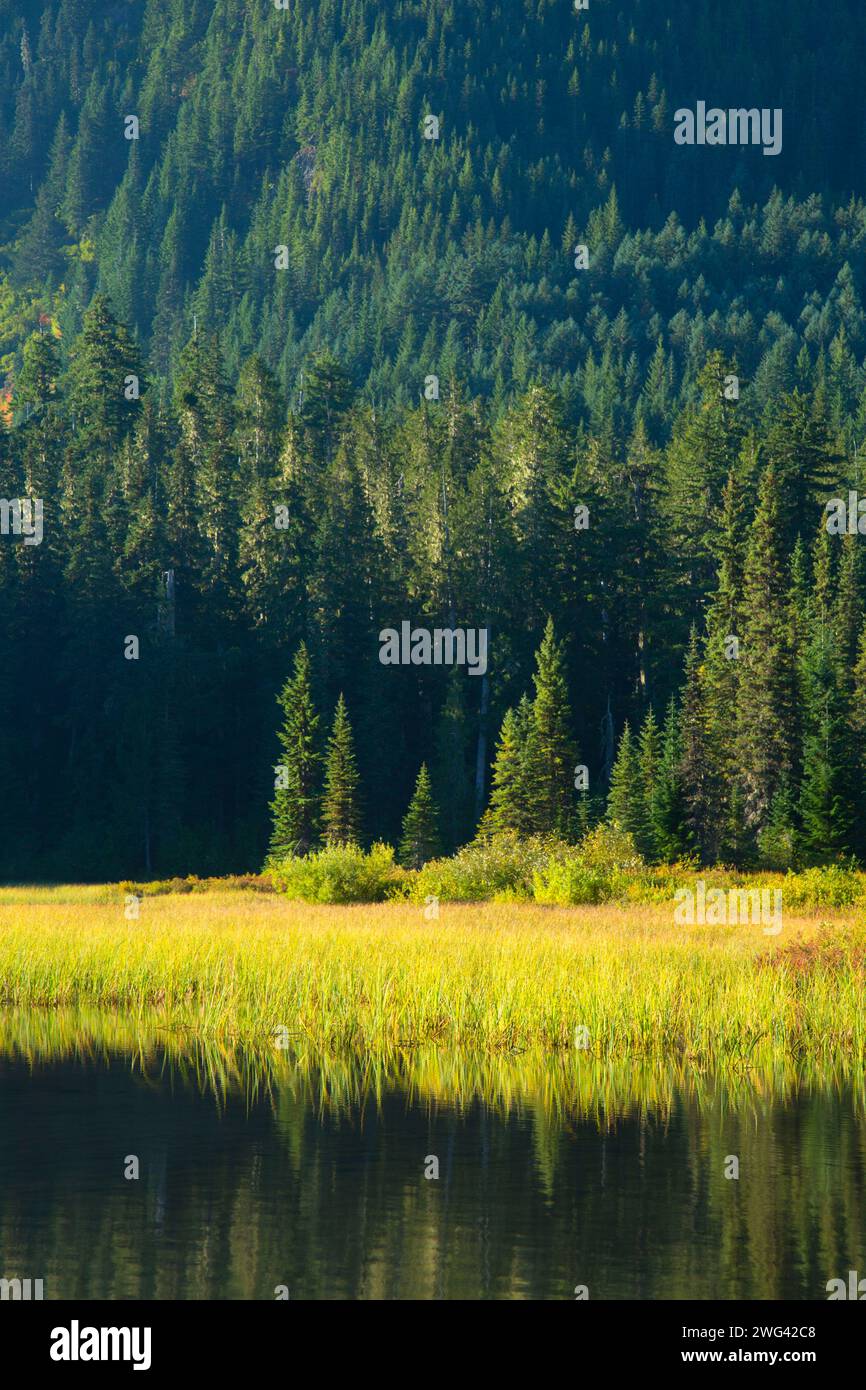 Elk Lake, Mt Hood National Forest, Oregon Stock Photo - Alamy