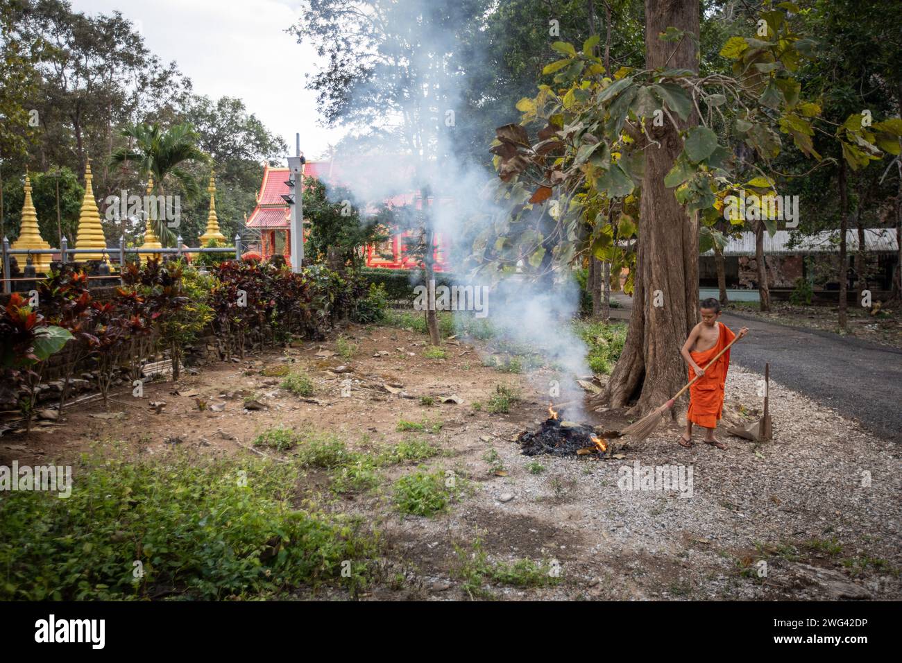 Mae Sai, Thailand. 17th Jan, 2024. A young monk burns leaves at the Wat ...