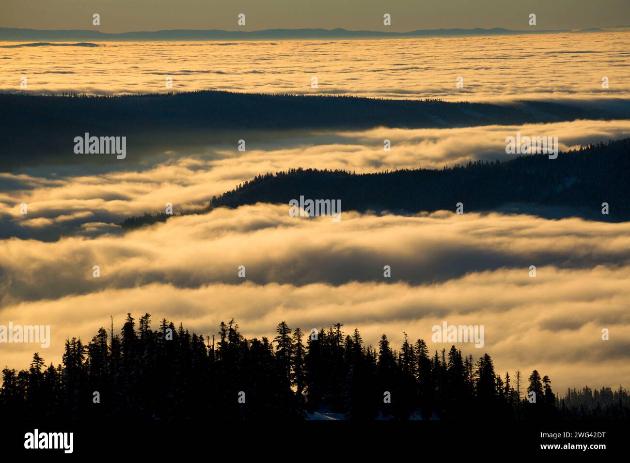 Fog from Timberline, Mt Hood National Forest, Oregon Stock Photo - Alamy