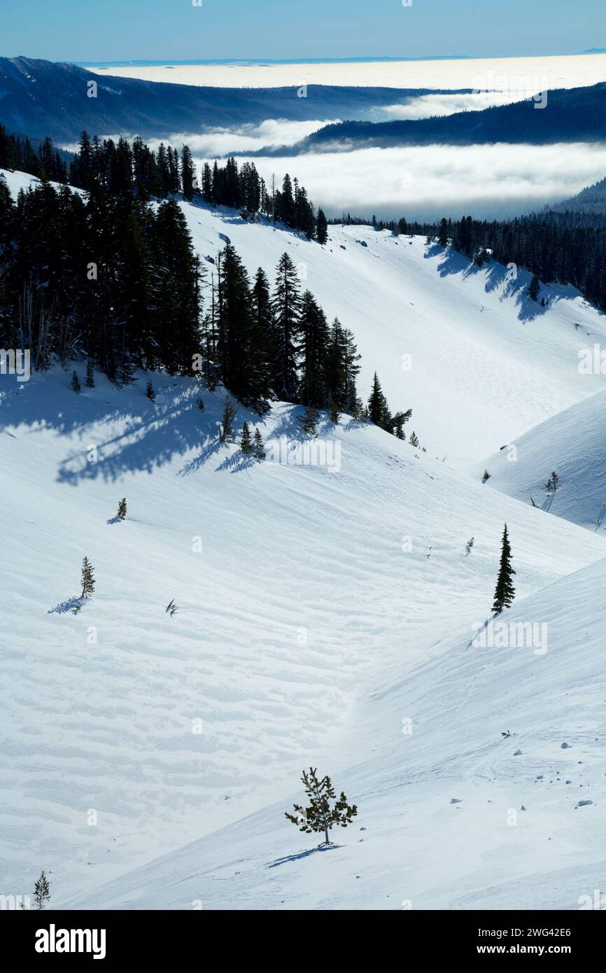 Fog out Salmon River canyon from Timberline, Mt Hood National Forest ...