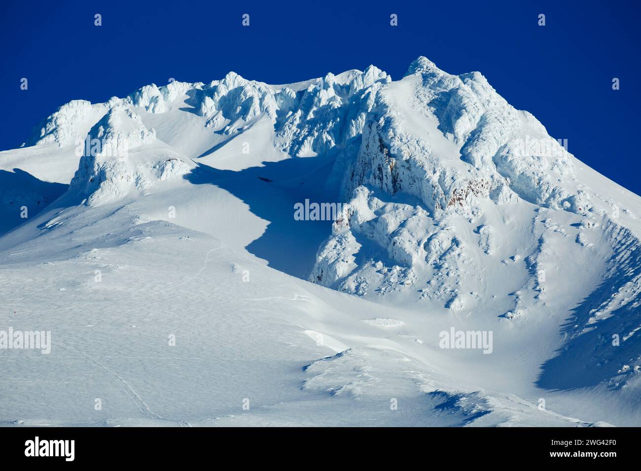 Mt Hood from Timberline, Mt Hood National Forest, Oregon Stock Photo ...