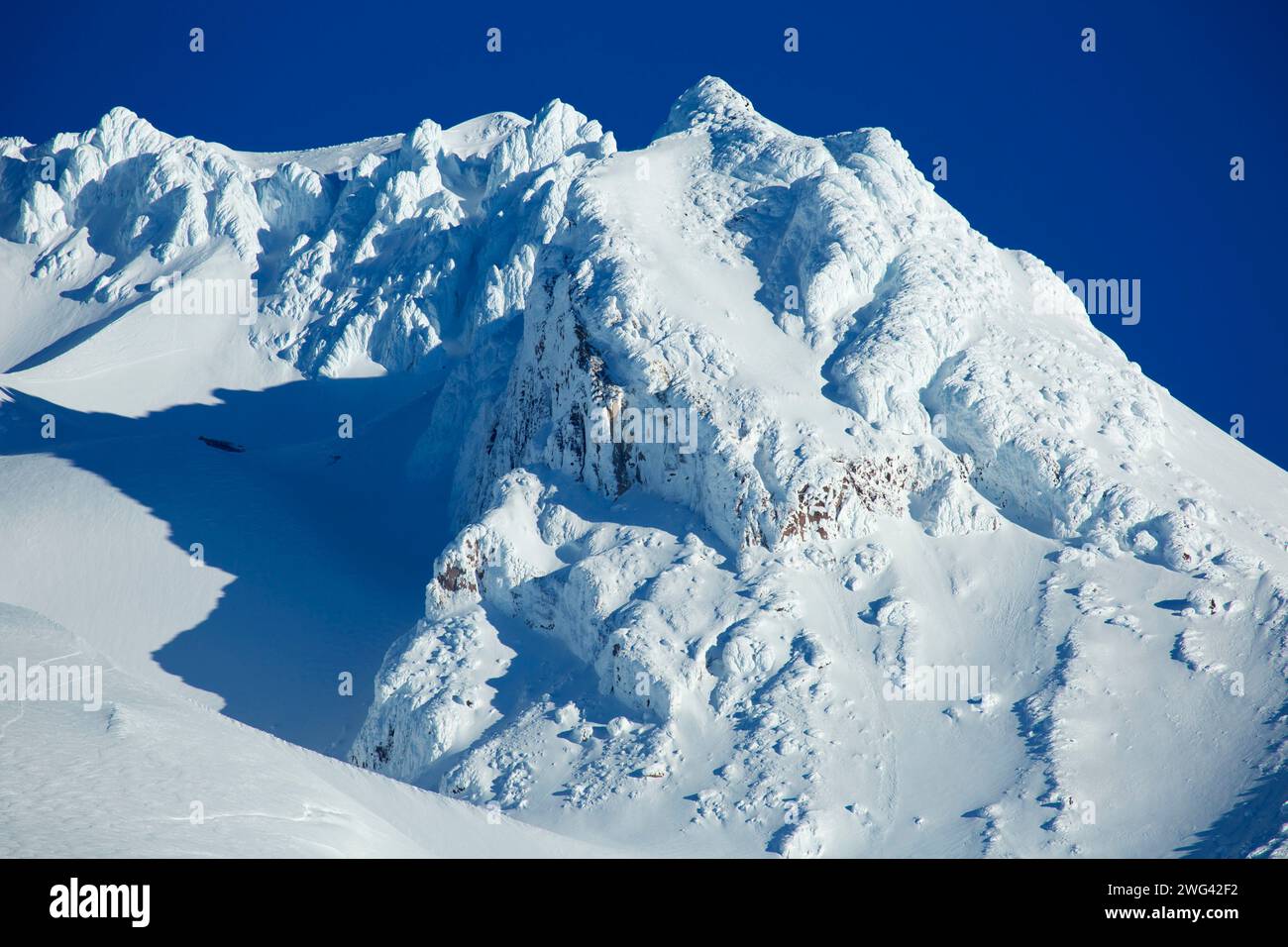 Mt Hood from Timberline, Mt Hood National Forest, Oregon Stock Photo ...