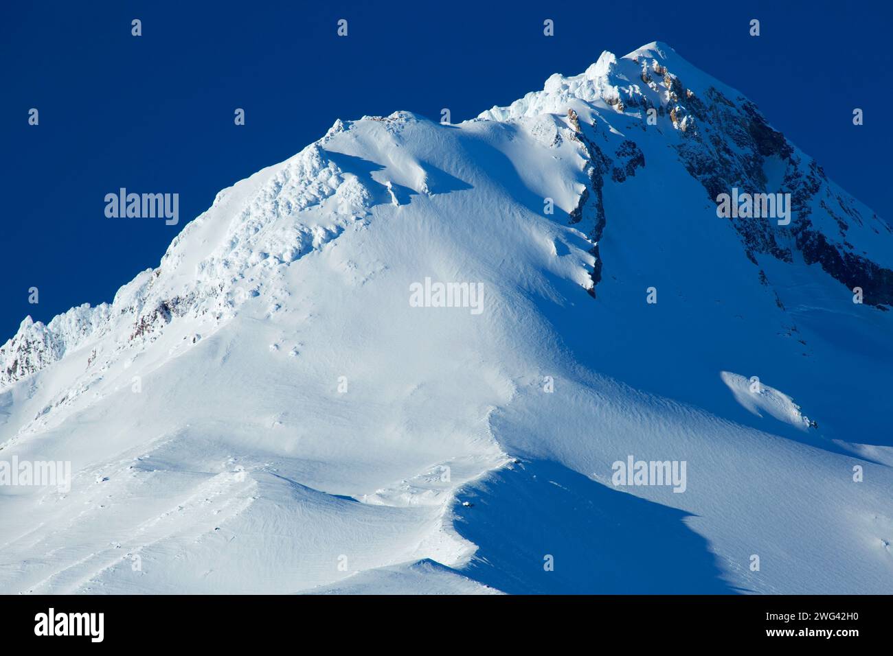 Mt Hood from Bennett Pass, Mt Hood National Forest, Oregon Stock Photo ...