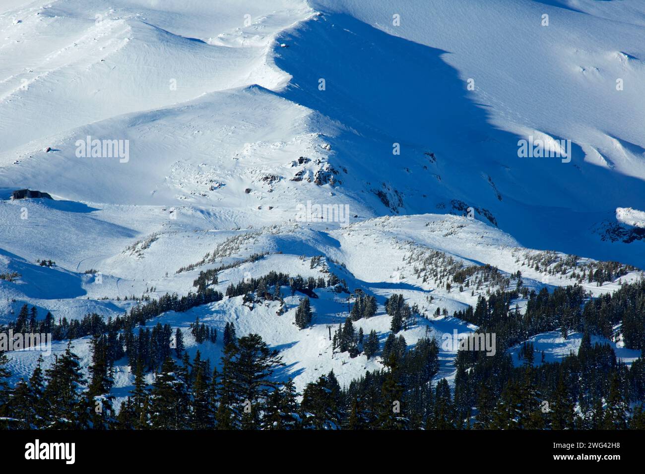 Mt Hood from Bennett Pass, Mt Hood National Forest, Oregon Stock Photo ...