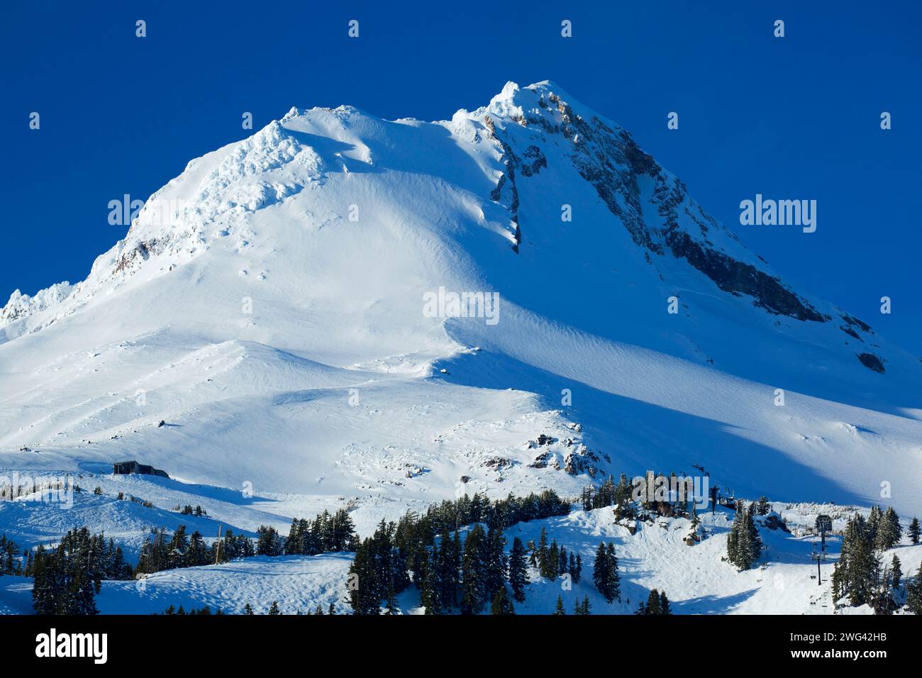 Mt Hood from Mt Hood Meadows, Mt Hood National Forest, Oregon Stock ...