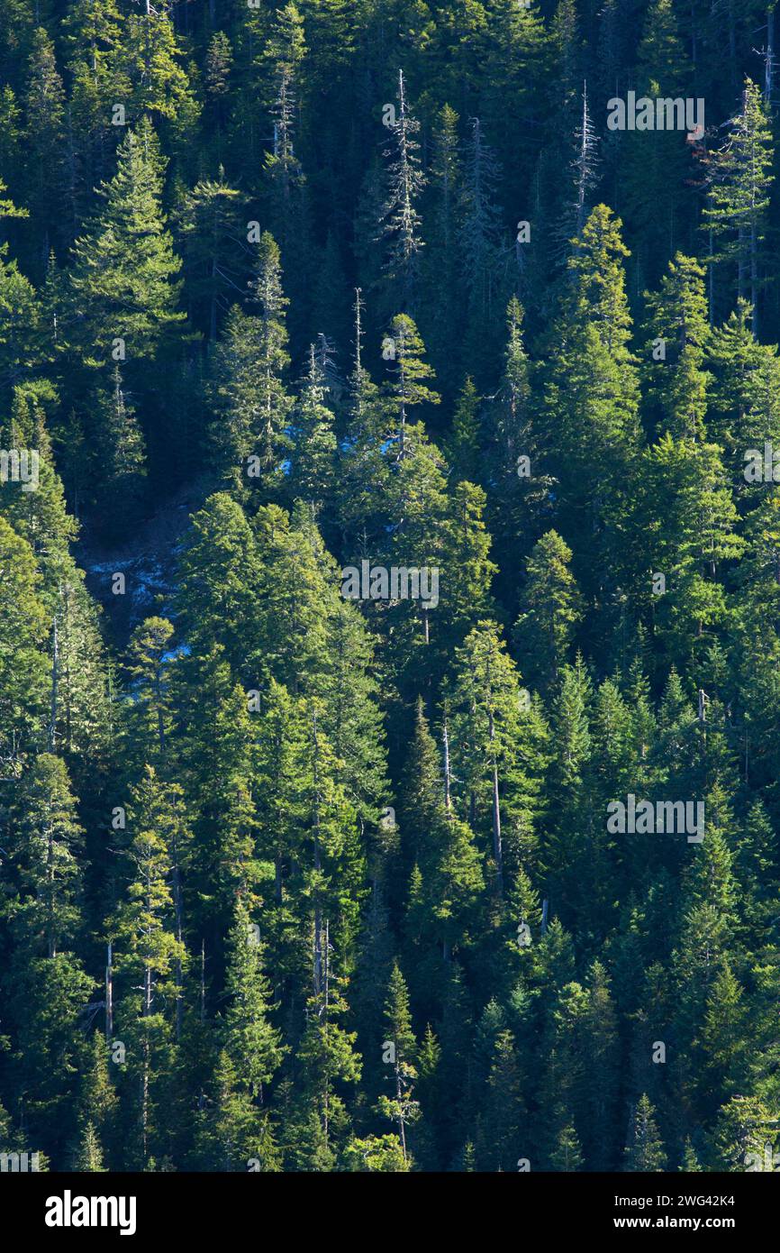 Barlow butte trail hi-res stock photography and images - Alamy