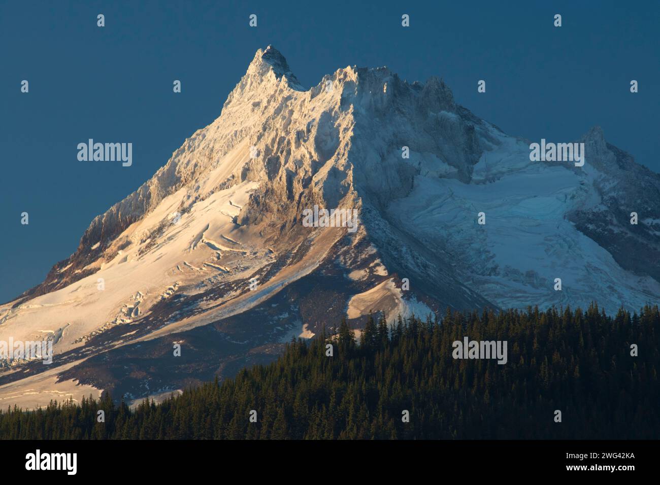 Mount Jefferson from Olallie Lake Trail, Olallie Lake Scenic Area, Mt ...