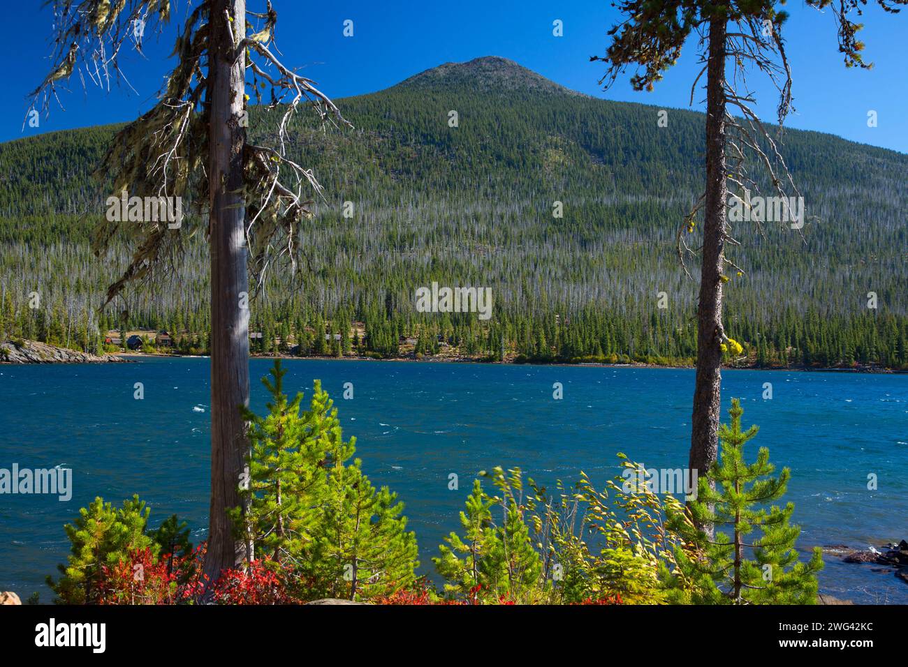 Ollalie Butte with Olallie Lake, Olallie Lake Scenic Area, Mt Hood ...