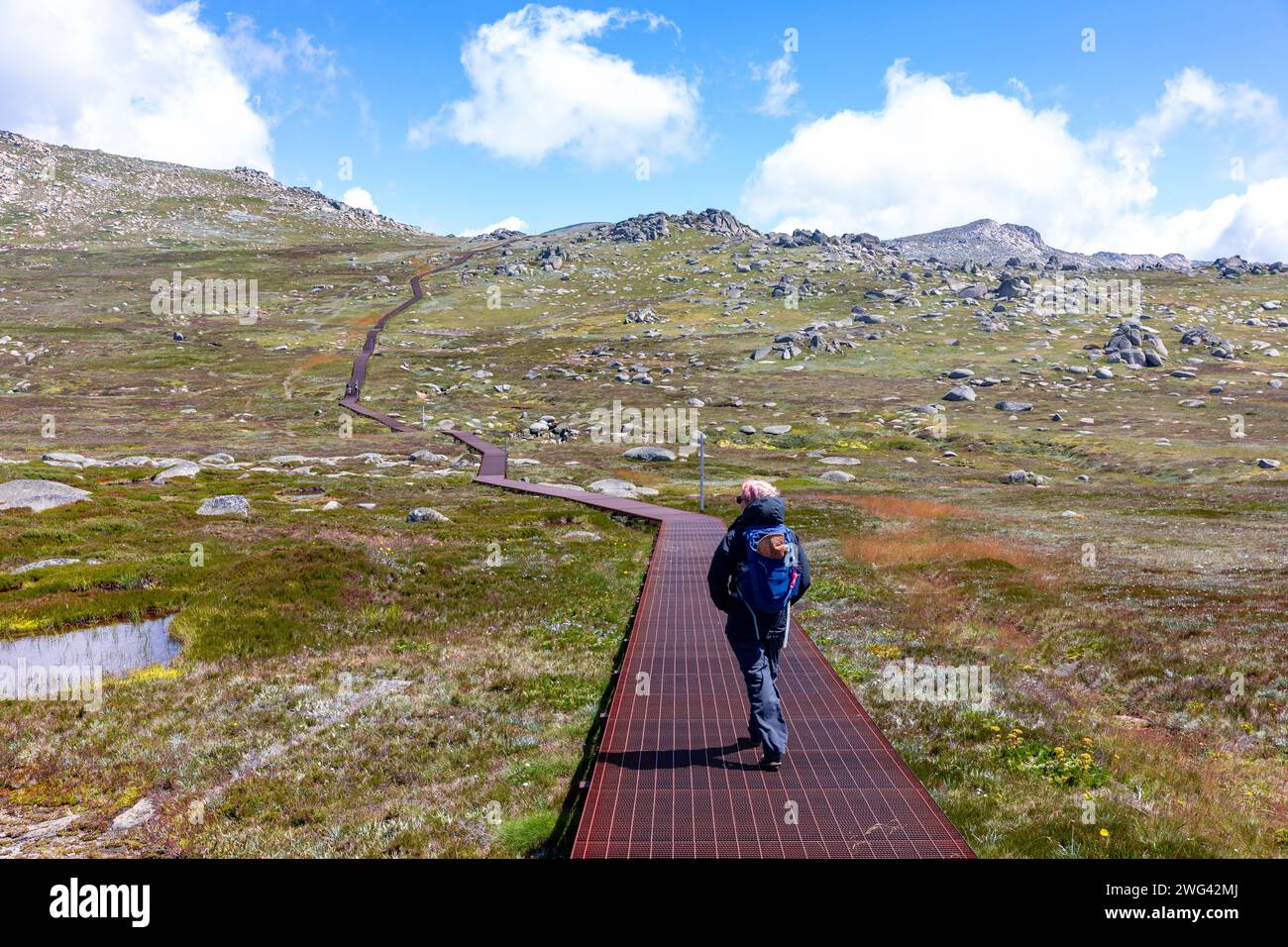 Kosciusko national park, model released woman walking on the steel ...
