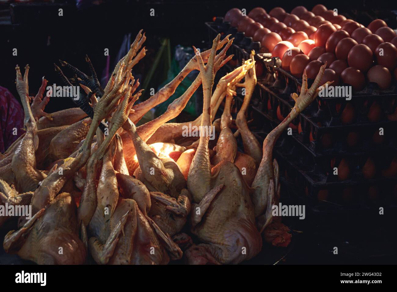 Sunlight cast on freshly dressed native chicken and eggs sold in the ...