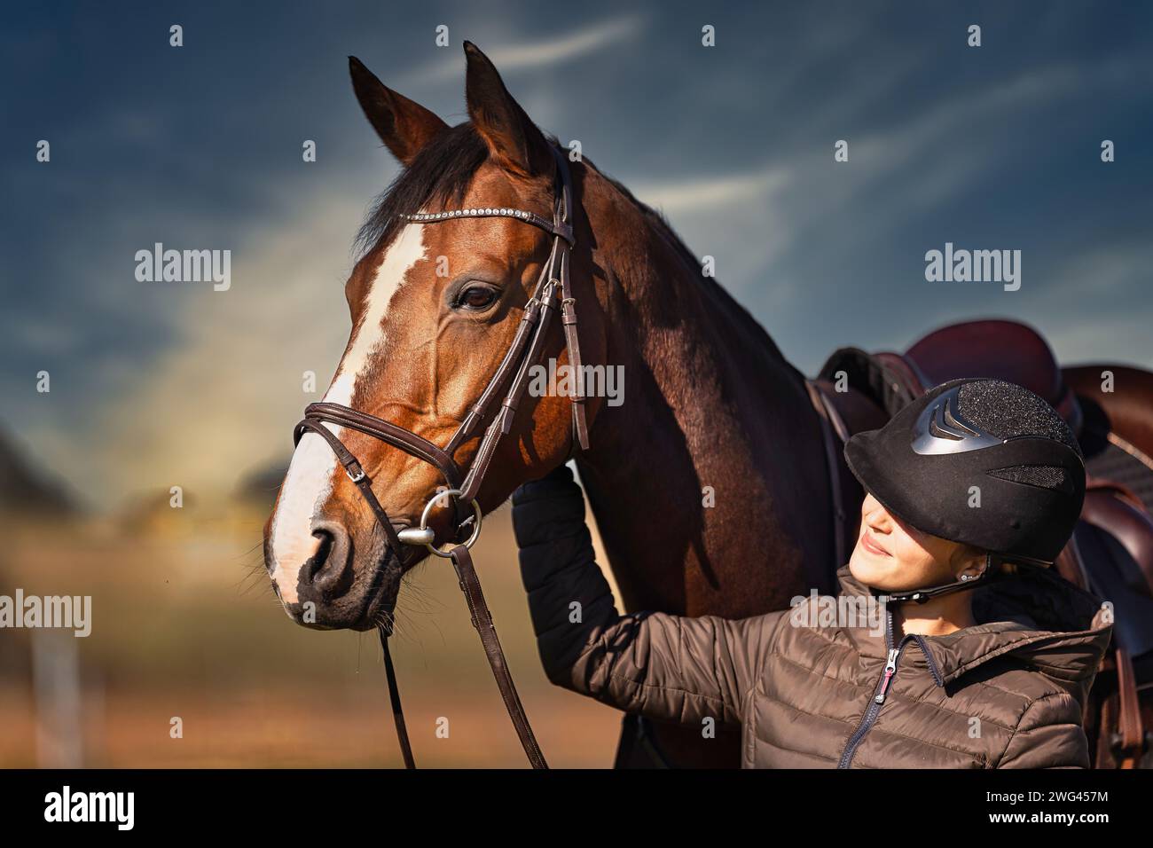 Horse on a meadow with the rider next to it in the sunshine in autumnal ...