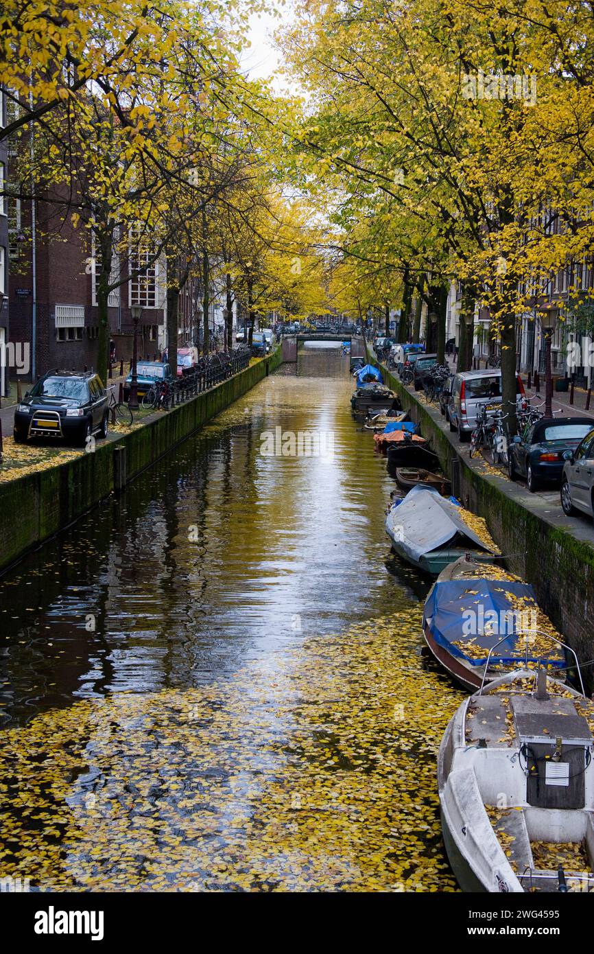 Boats docked along a tree-lined waterfront promenade near residential ...