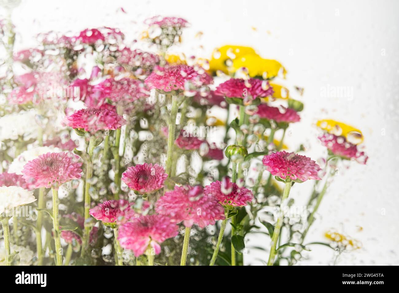 Springtime floral aesthetic. Natural colourful flowers background Stock ...