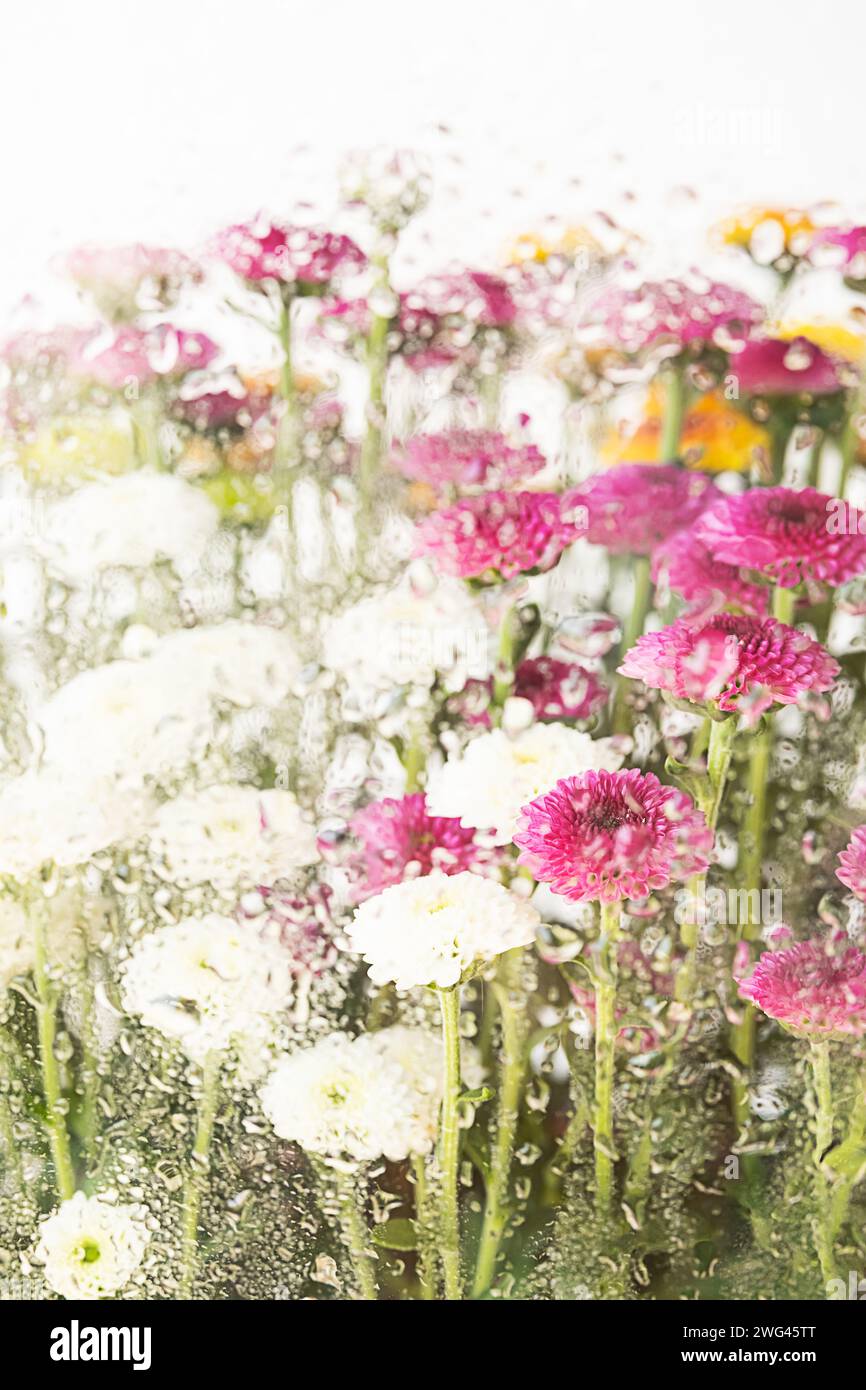 Springtime floral aesthetic. Natural colourful flowers background Stock ...