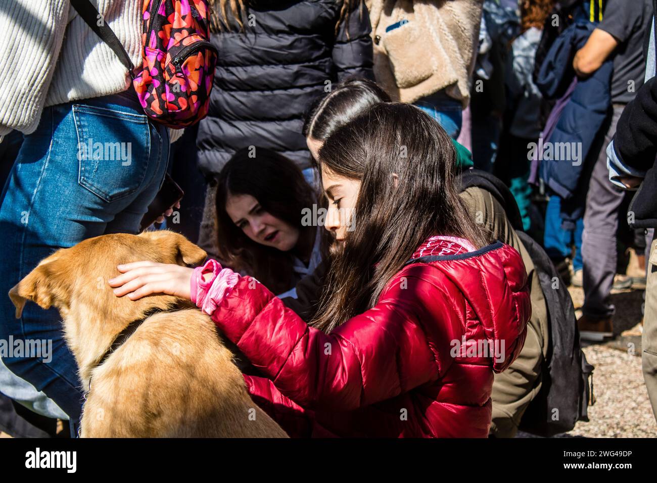 Tel Aviv, Israel – February 2, 2024 Teenagers at the SOS Animals ...