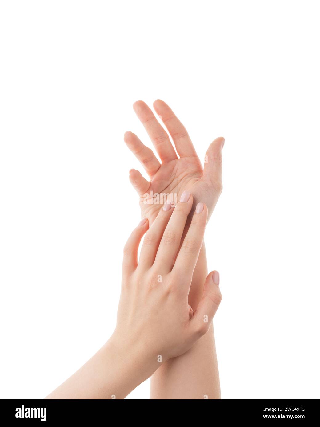 Young woman hands showing elegance isolated on white background, high ...