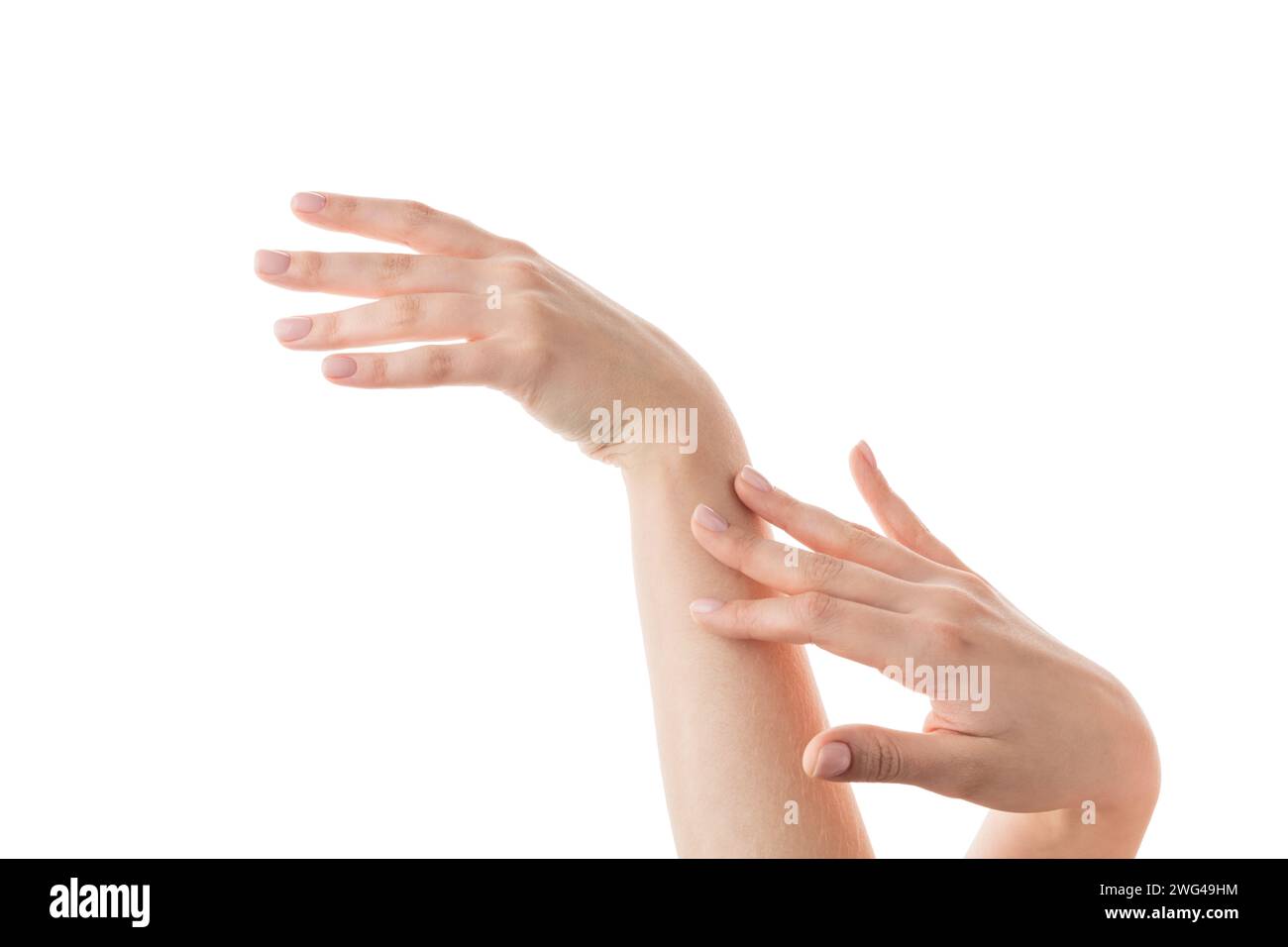 Young woman hands showing elegance isolated on white background, high ...