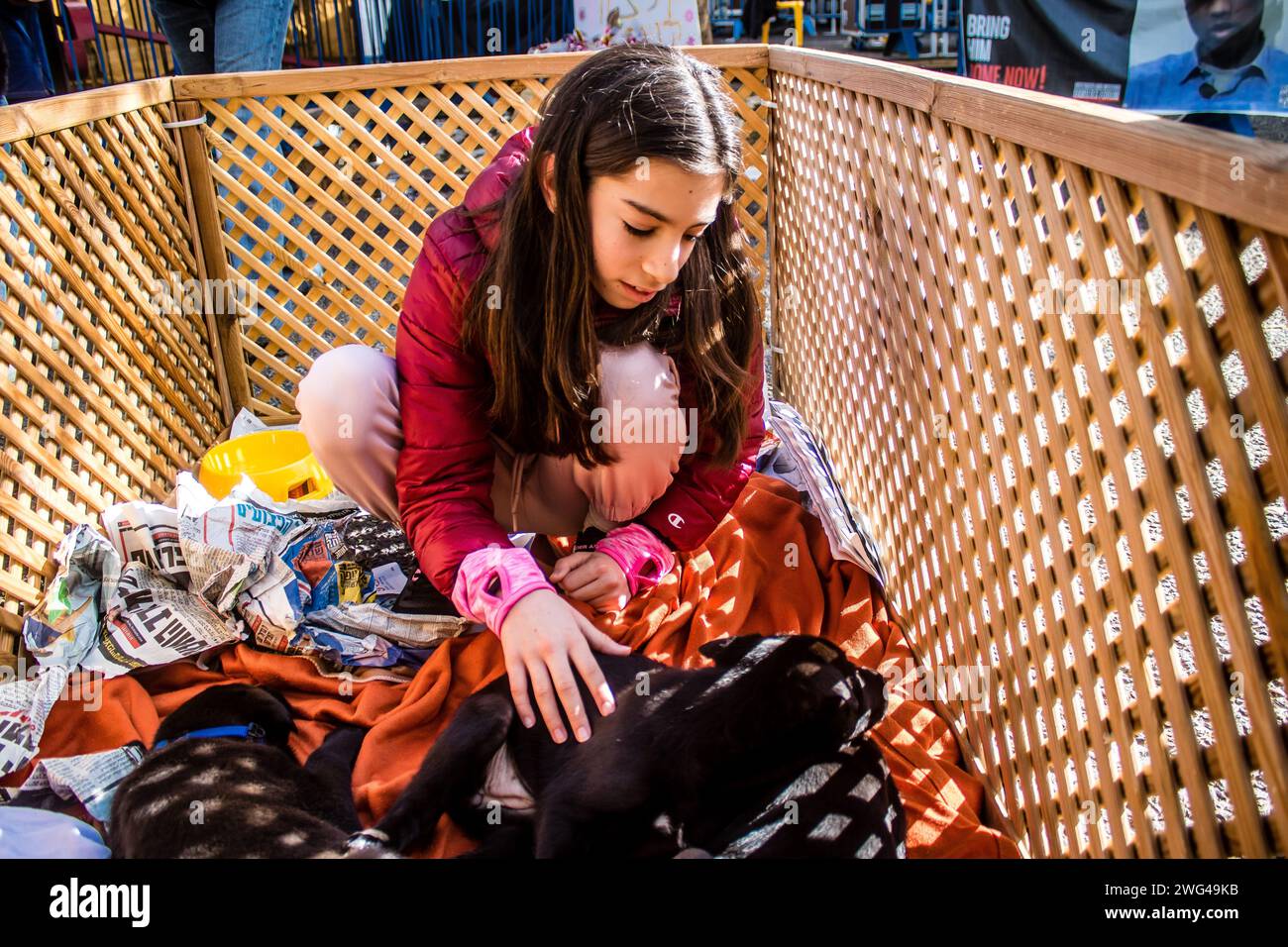 Tel Aviv, Israel – February 2, 2024 Teenagers at the SOS Animals ...