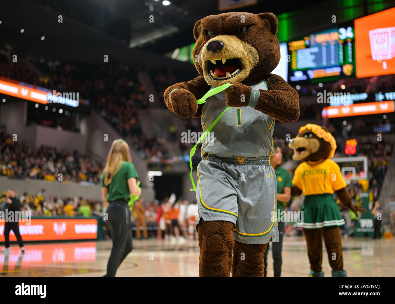 February 1 2024: Baylor Lady Bears mascot during the 2nd half of the ...