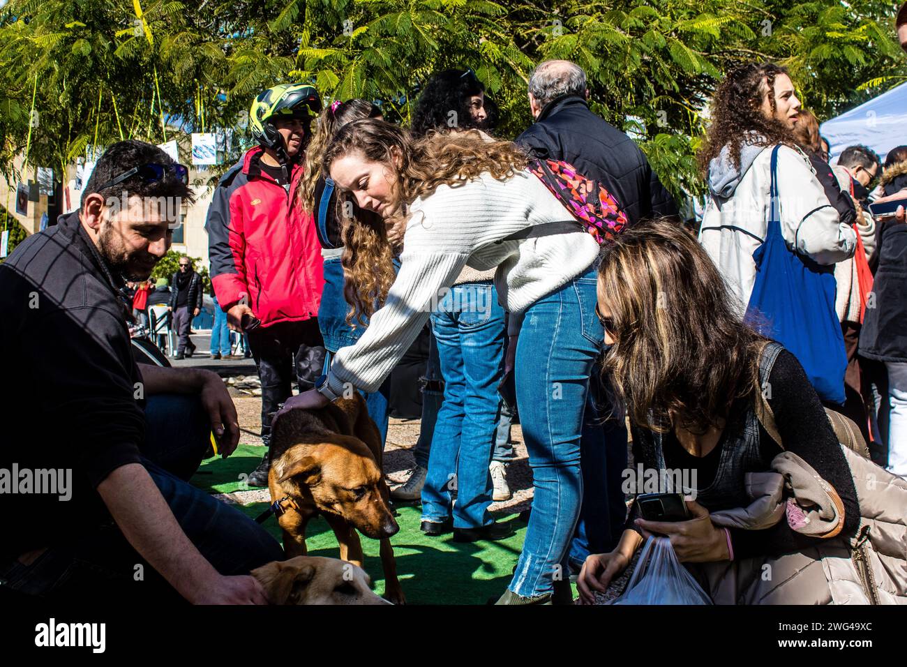 Tel Aviv, Israel – February 2, 2024 Teenagers at the SOS Animals ...