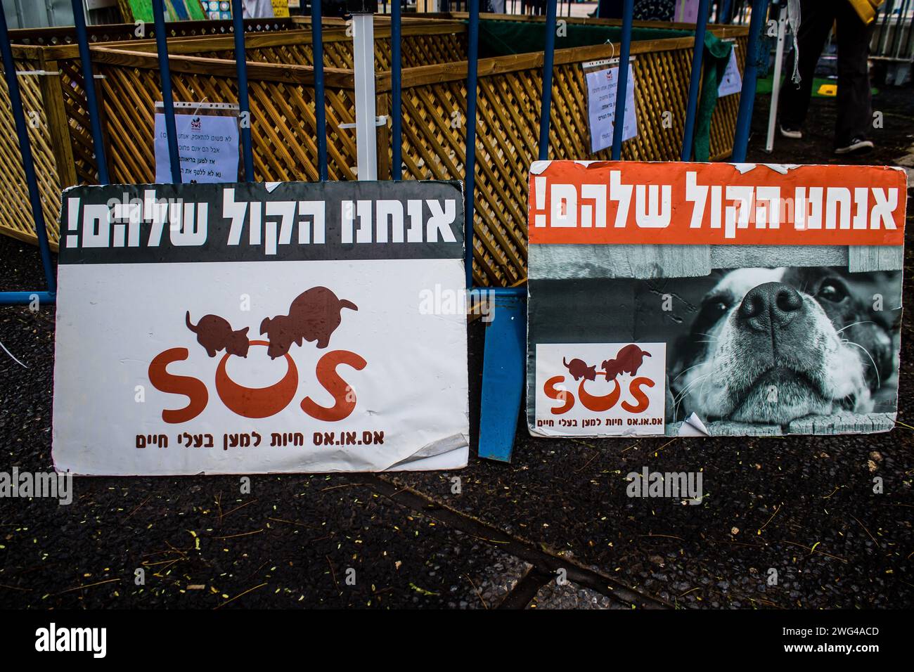Tel Aviv, Israel – February 2, 2024 The SOS Animals association is ...