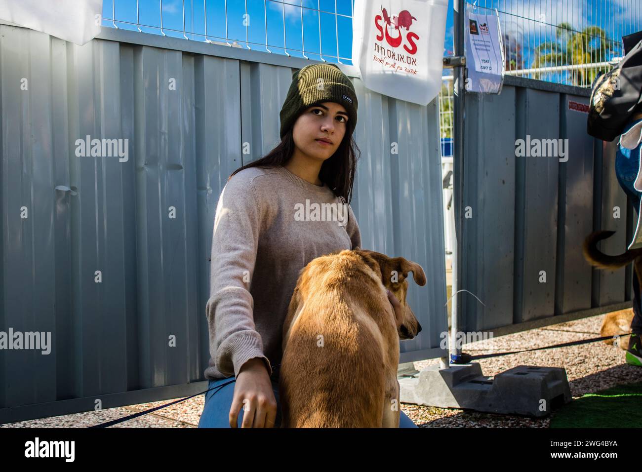 Tel Aviv, Israel – February 2, 2024 Volunteers from the SOS Animals ...
