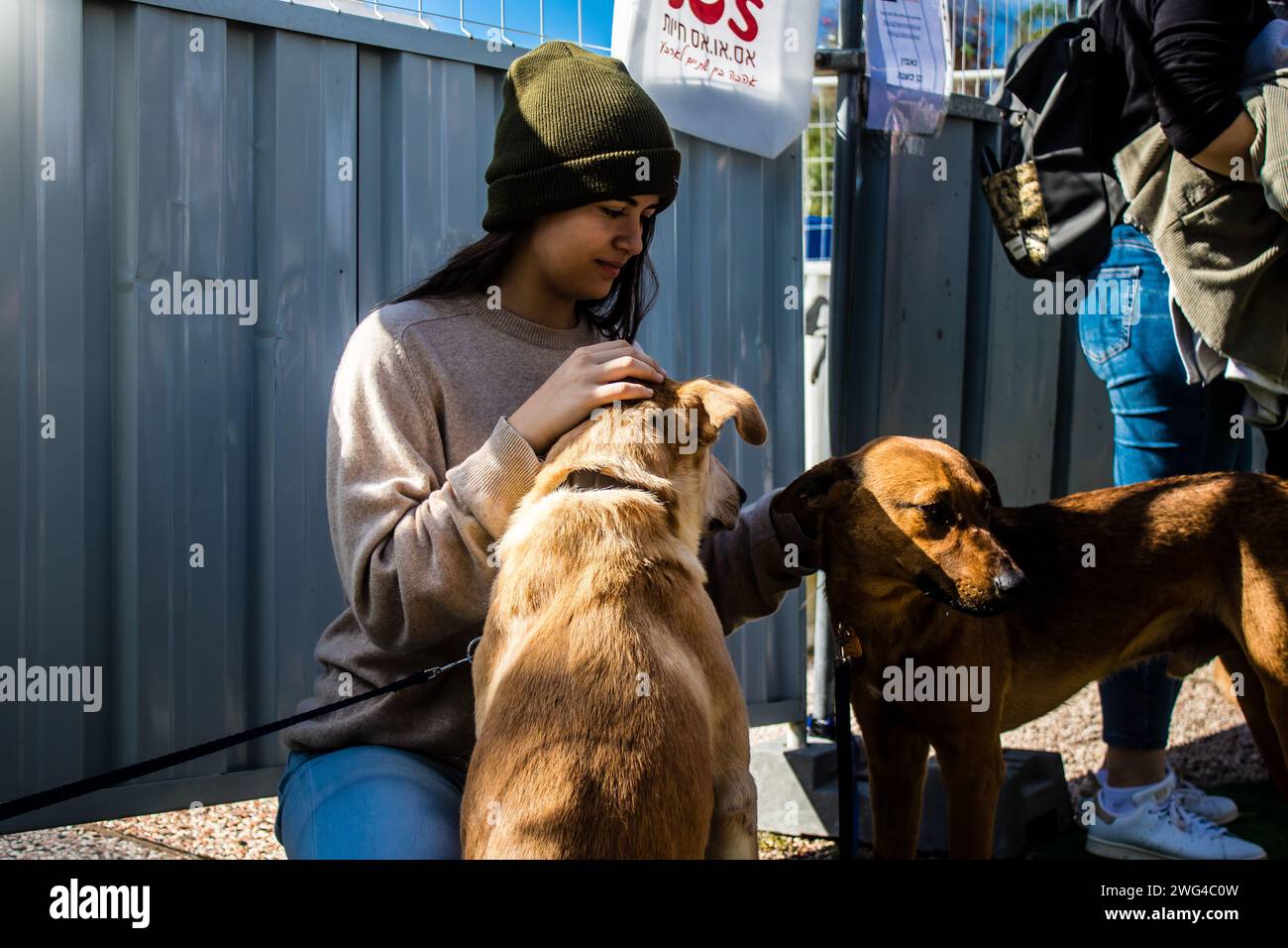 Tel Aviv, Israel – February 2, 2024 Volunteers from the SOS Animals ...