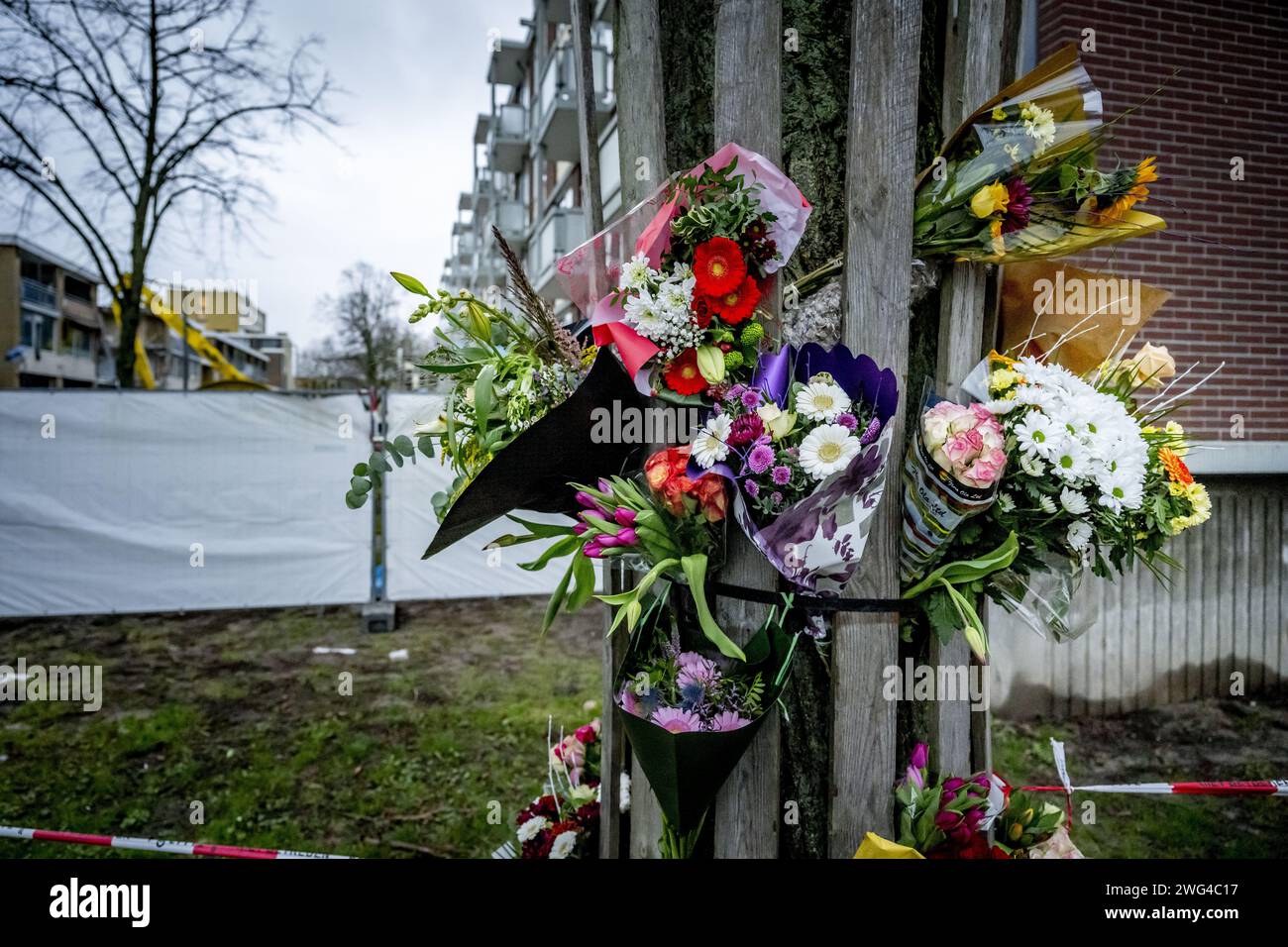 Siteing hi-res stock photography and images - Alamy